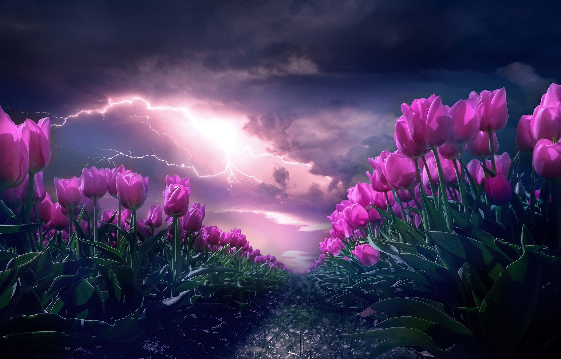 15 Powerful Bible Verses for Times of Trouble and Grief - Stacey Pardoe