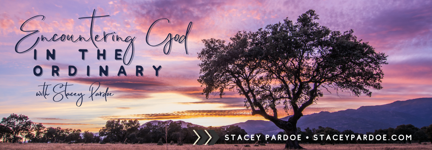 Stacey Pardoe Encountering God In The Ordinary
