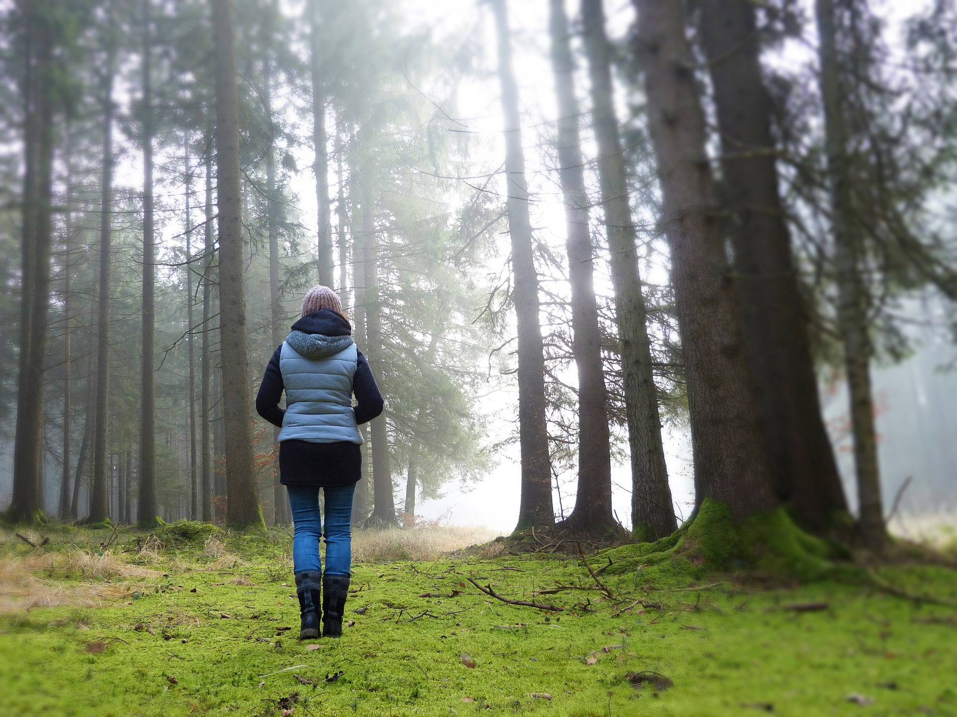 8 Scriptures on Purpose and Vision for Challenging Seasons - Stacey Pardoe