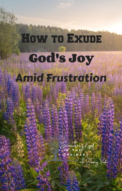 God's Assignment for You: 7 Keys to Fulfilling Your Purpose - Stacey Pardoe