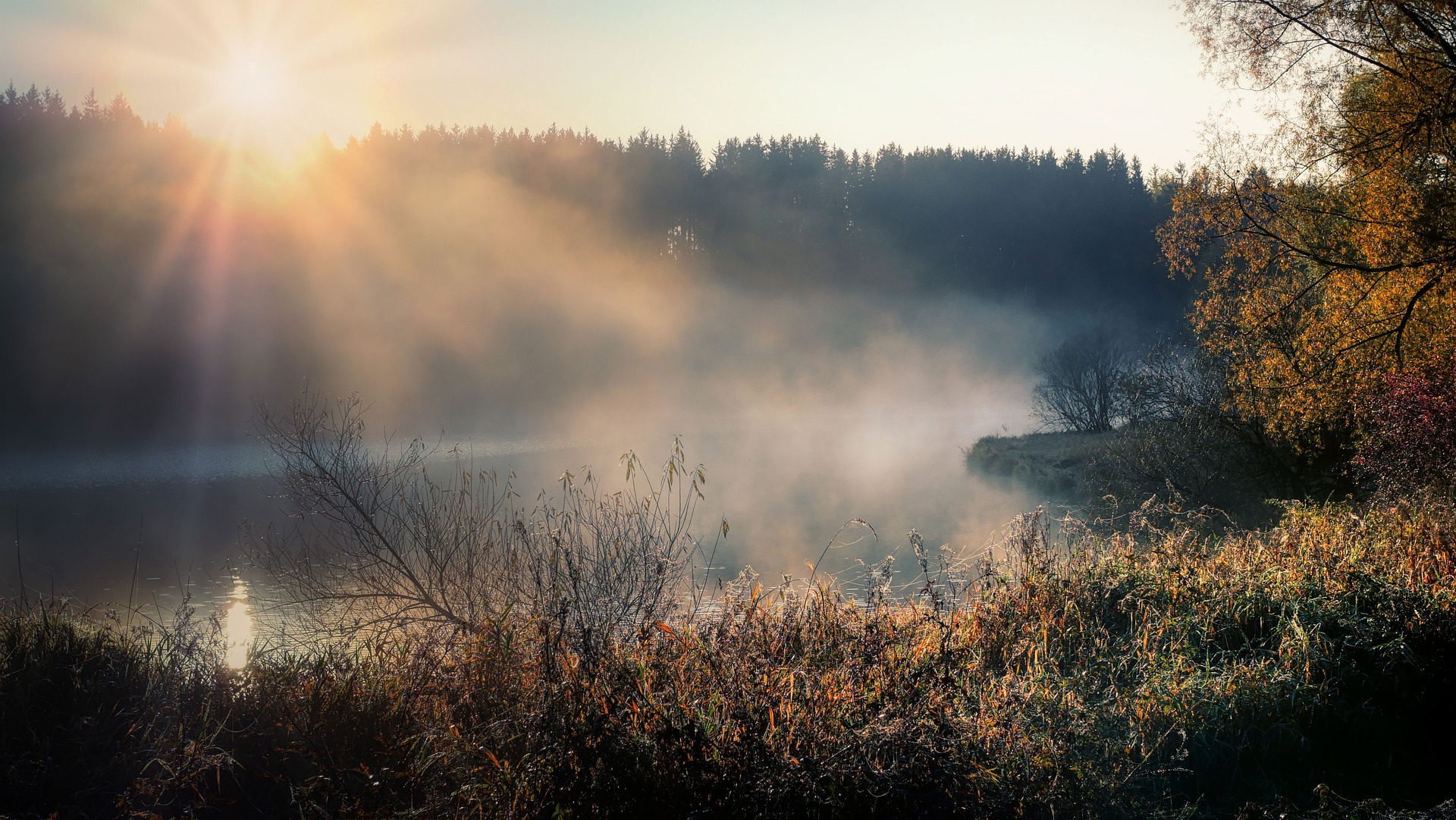 8 Bible Verses About Change and Transition - Stacey Pardoe