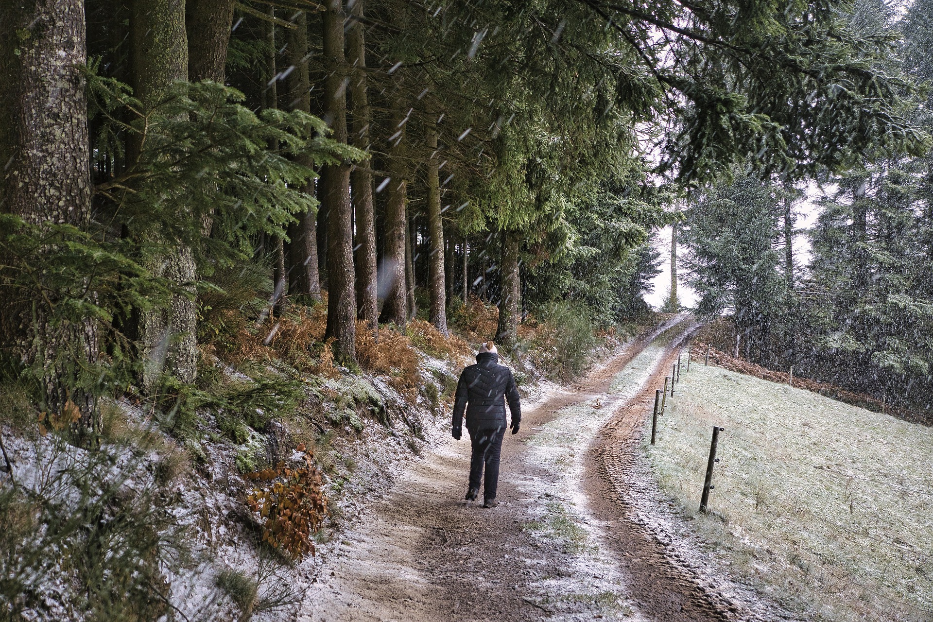 When Christmas Is Hard: 5 Insights to Give You Hope - Stacey Pardoe