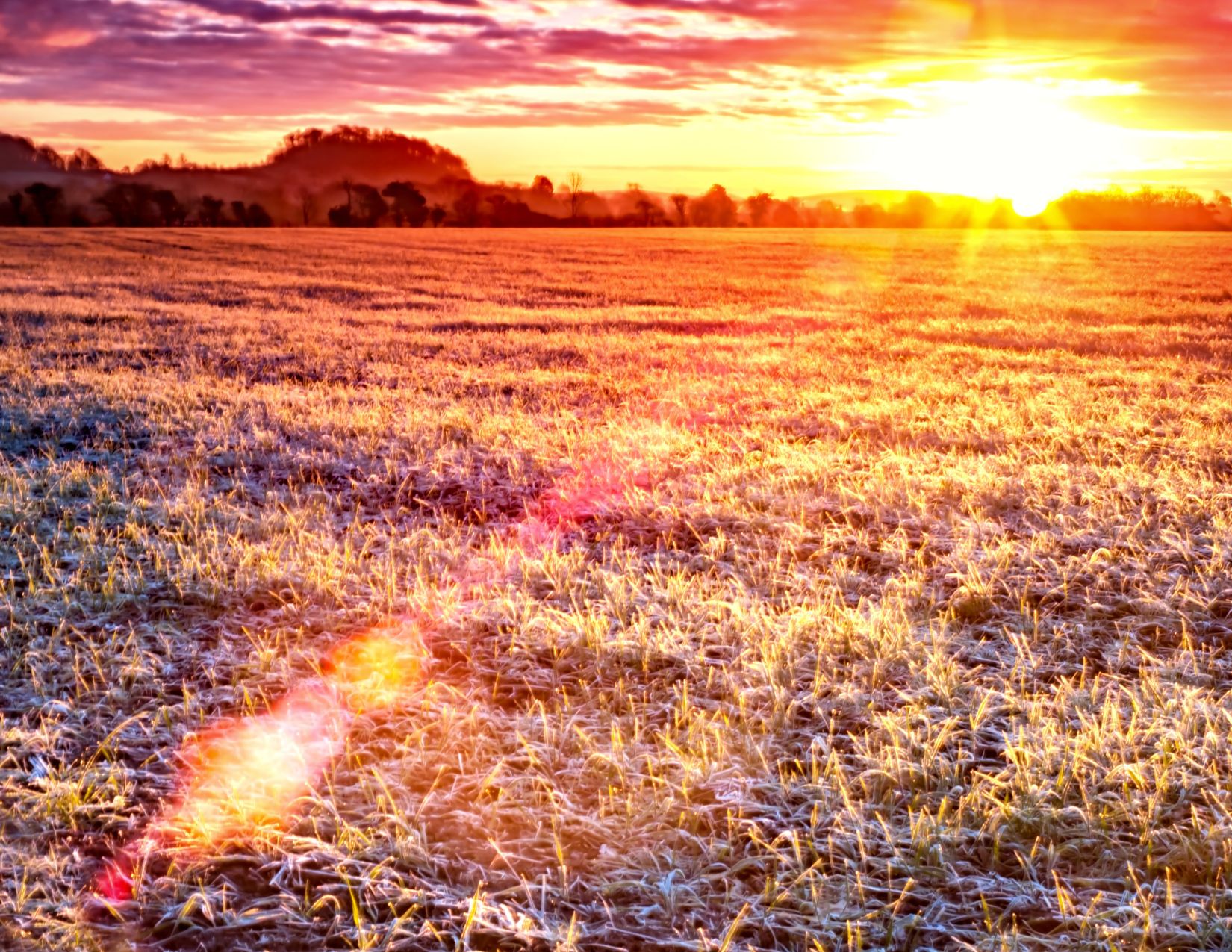 10 Life-Giving Bible Verses About Light and Truth - Stacey Pardoe