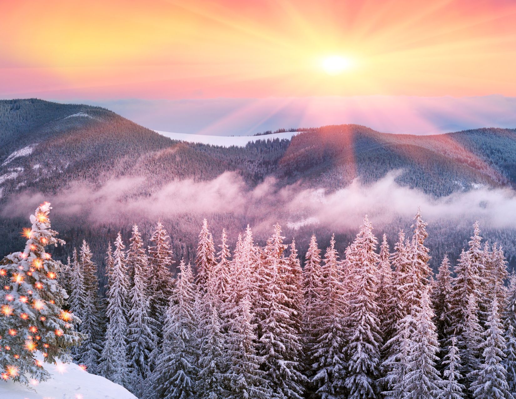 5 New Year Prayer Points for a Fresh Start - Stacey Pardoe