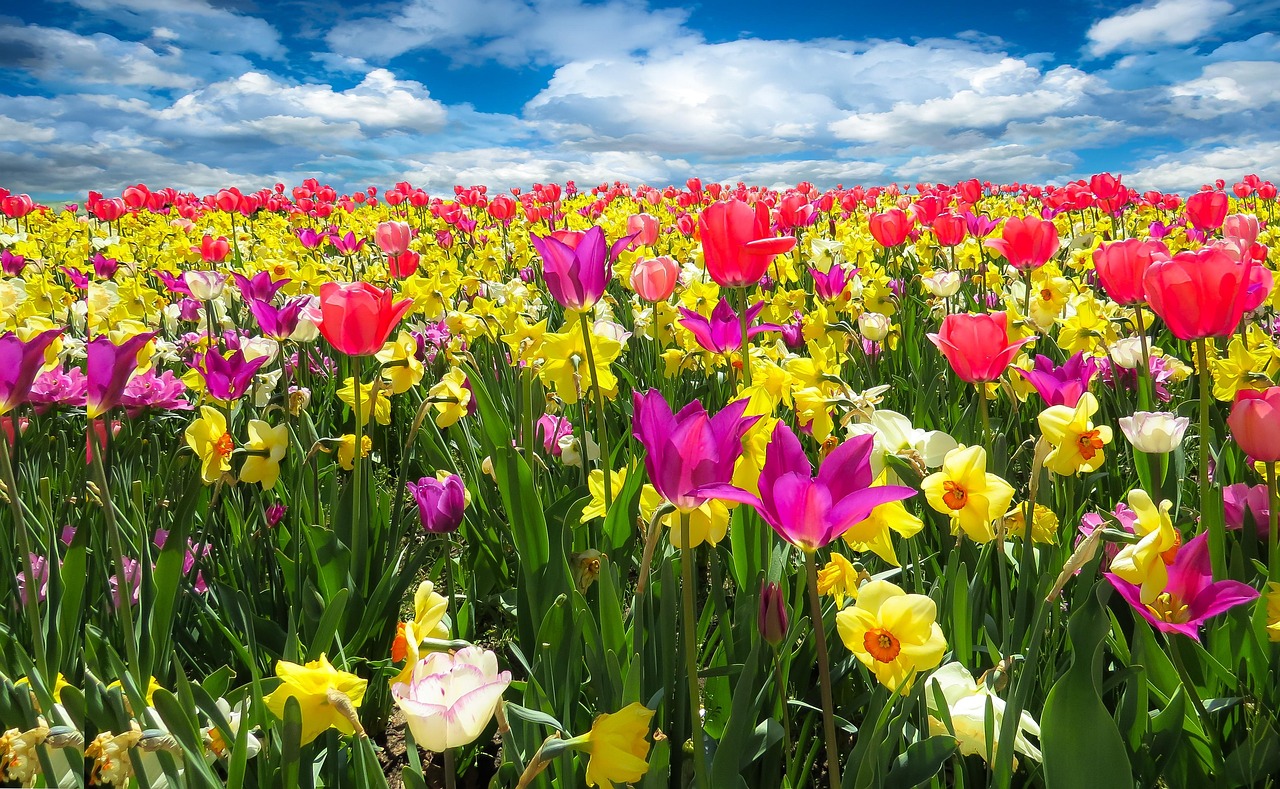 15 Springtime Bible Verses for Renewal and Refreshment - Stacey Pardoe
